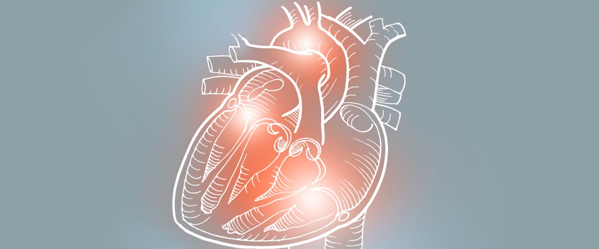 Central Texas Heart Clinics | Heart Clinic of Austin